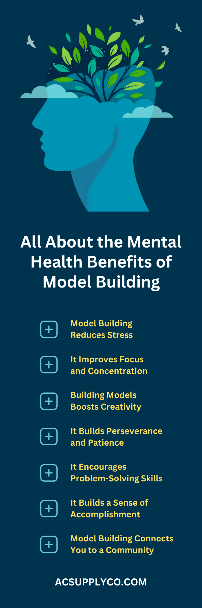 All About the Mental Health Benefits of Model Building